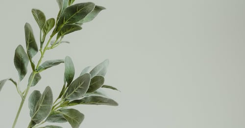 hr connection Best Practice Exchange